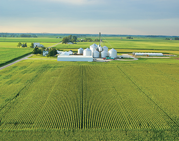 Bumper Crop University of Illinois Alumni Association