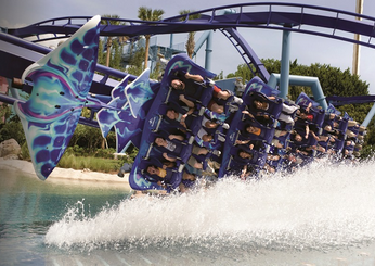 The Fun Factor University of Illinois Alumni Association