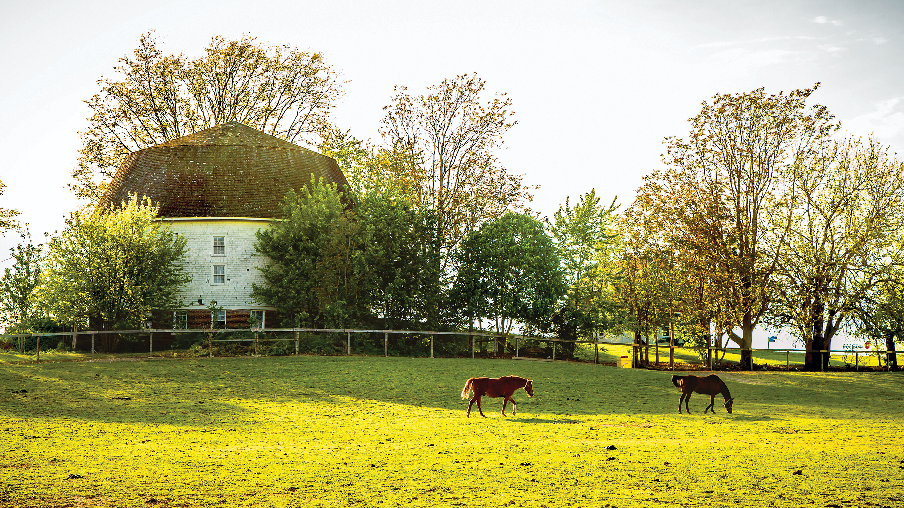 The Big Picture: Round Barns University of Illinois Alumni Association