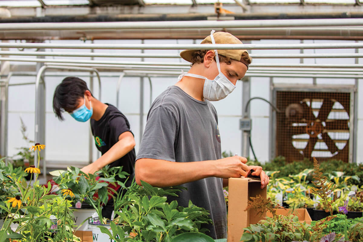 The Big Picture: Spring flowers University of Illinois Alumni Association